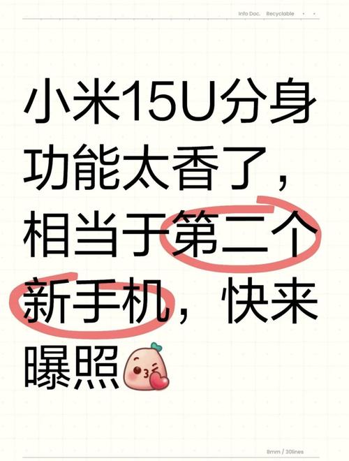 小米手机分身照片截图