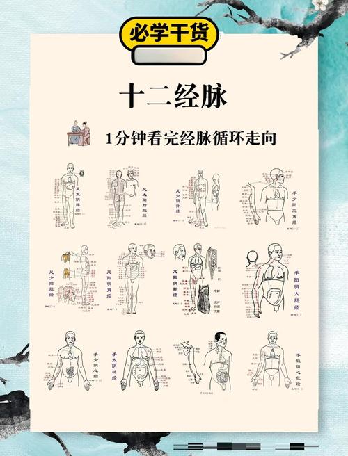 十二经络图解高清大图 走向图标