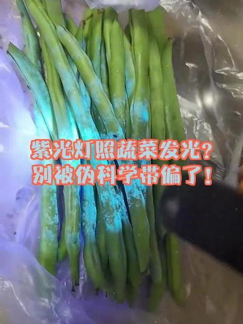 晚上灯光对哪些蔬菜有影响图标
