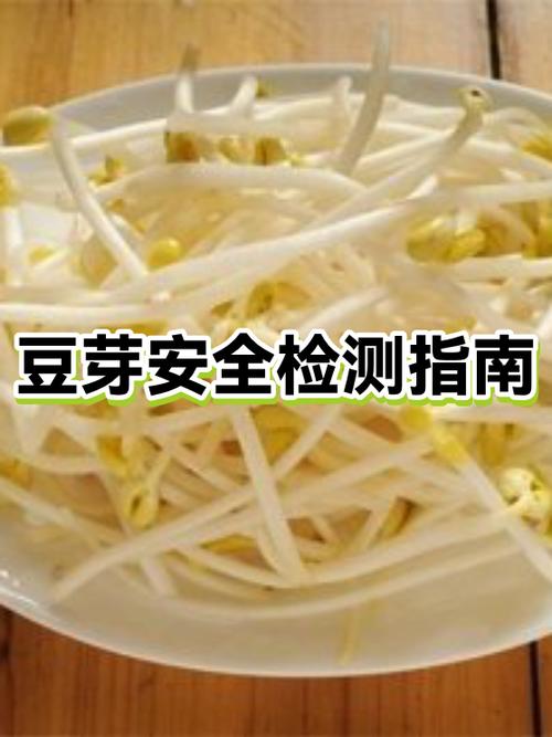 生豆芽吃了会不会中毒图标