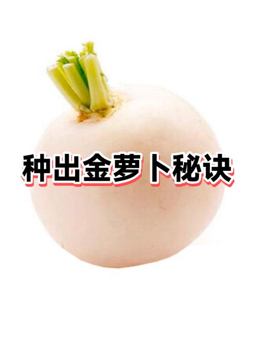 保卫萝卜3金萝卜攻略图标