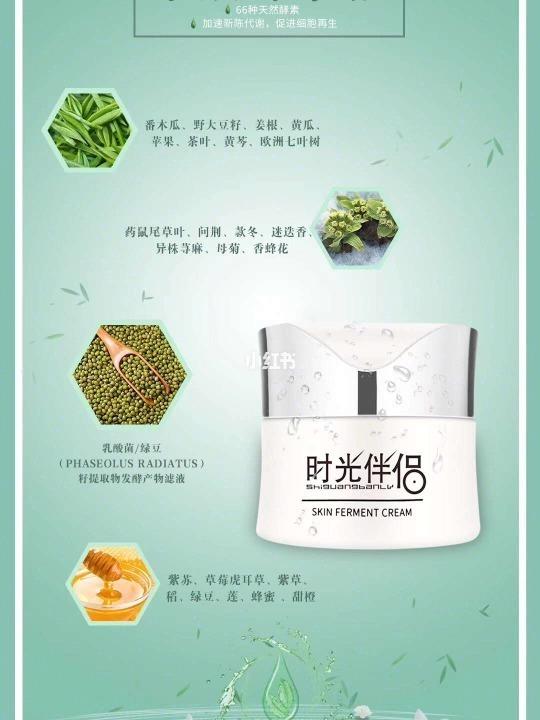 时光伴侣官网图标