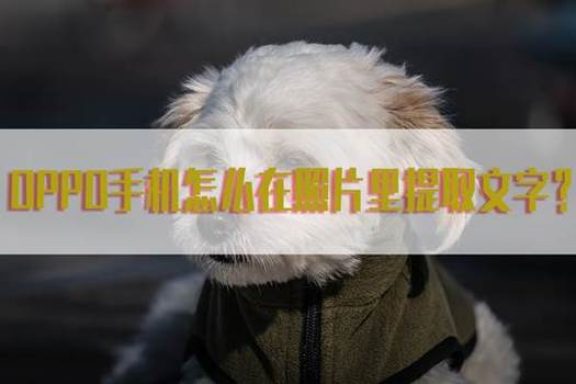 OPPO提取图片图标