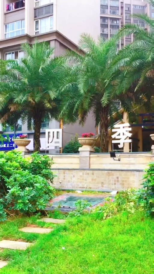 四季视频图标