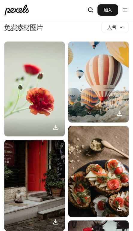 pexel视频素材网站图标
