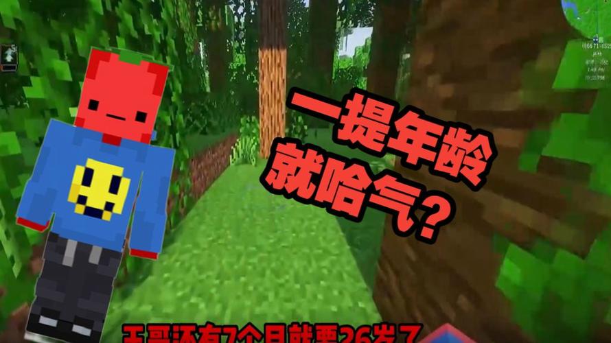 虎牙直播我的世界夏天y为穹妹而战截图