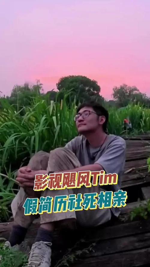 TIM图标