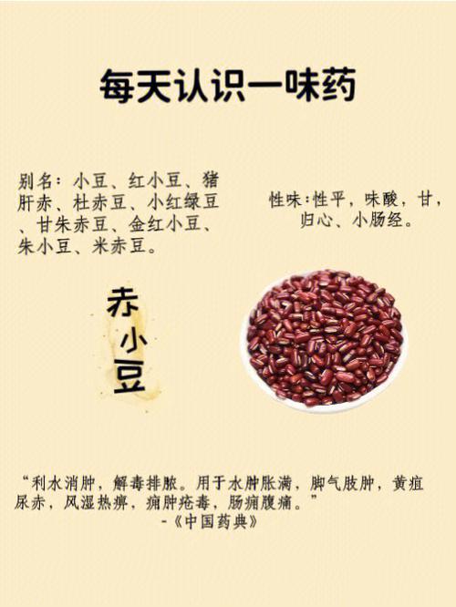 红豆功效作用与主治截图