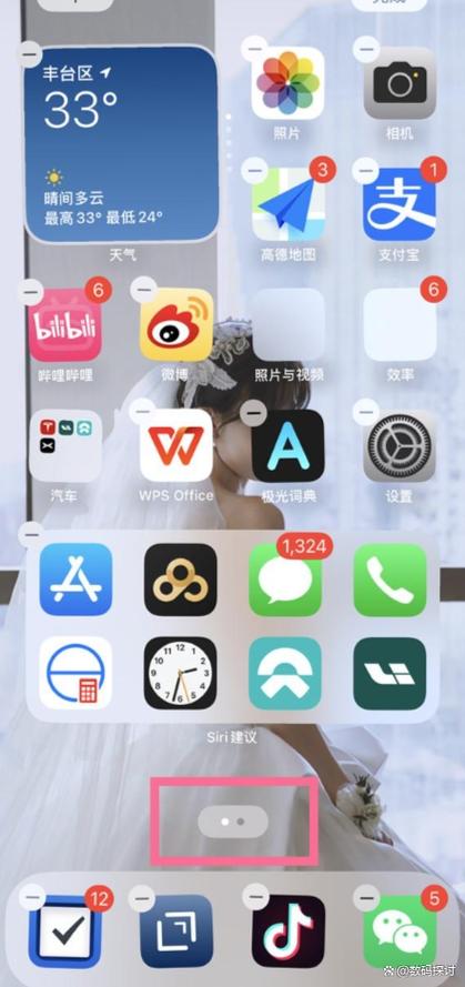 苹果轻量版软件删不掉图标