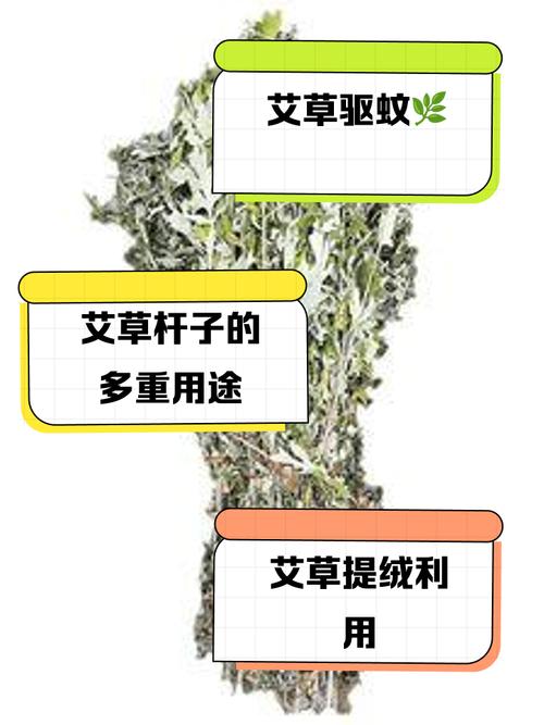 晒干的艾草杆子怎么用图标