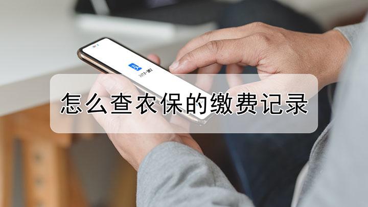农保缴费记录在哪里查图标