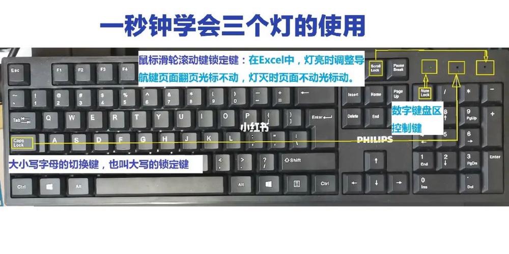 键盘上的三个指示灯,怎样控制截图
