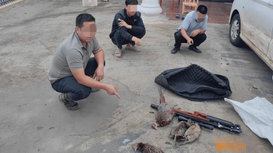 打死一只野鸡拘留几天截图