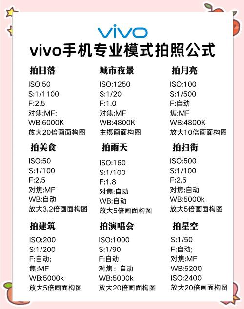 vivo手机专业拍照参数介绍教程