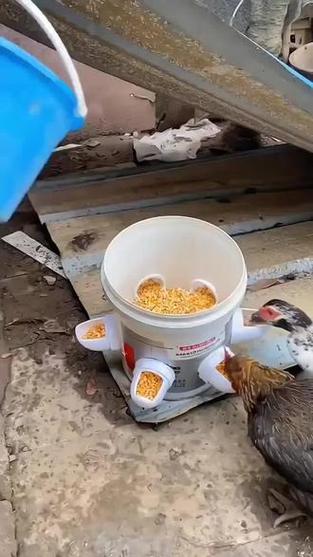 养鸡自动喂食器图标