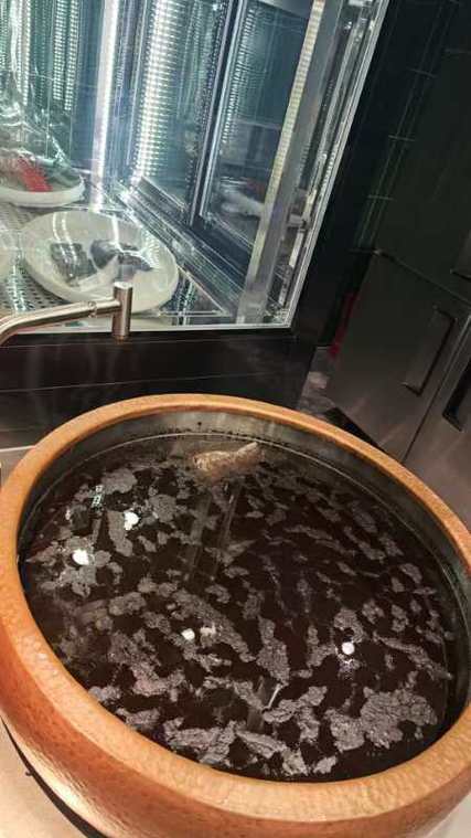 50斤卤水放10克鱼露可以吗图标