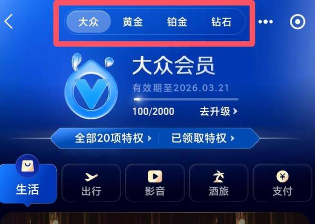 支付宝各等级会员图标图标