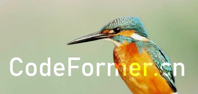 codeformer下载官网图标