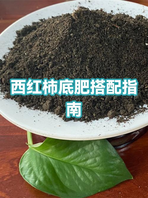 西红柿加什么肥料最好图标