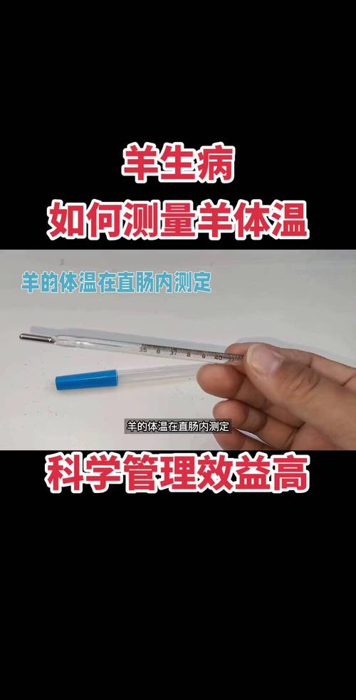 羊舍冬天温度应该多少度图标