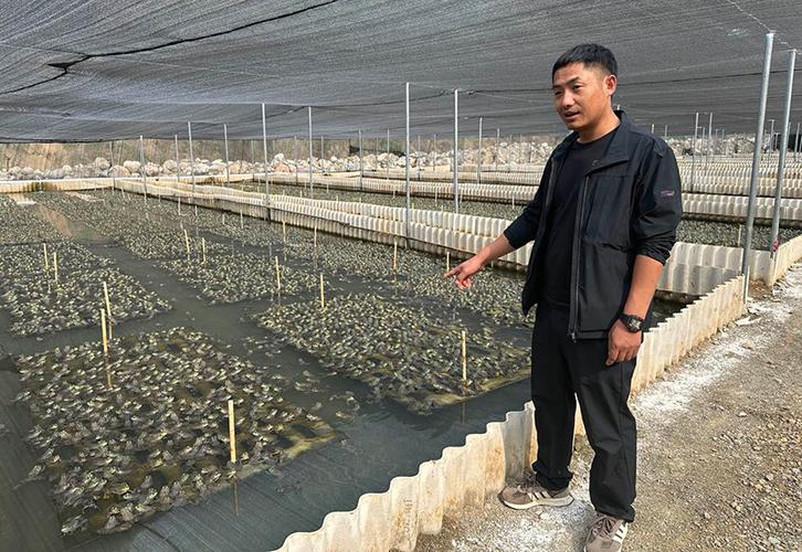 牛蛙养殖前景图标