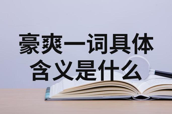 豪爽的爽什么意思图标