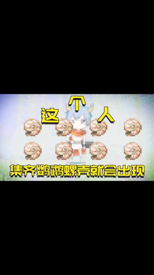 我的世界鹦鹉螺壳指令代码截图