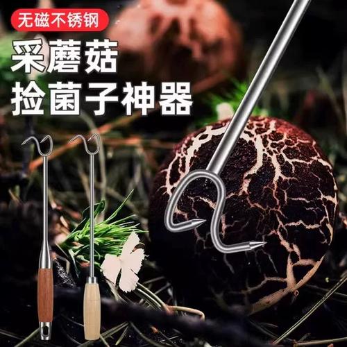 旧蘑菇5秒跳转路线效果如何百度图标