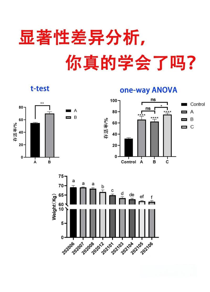 fes表达增高什么意思图标