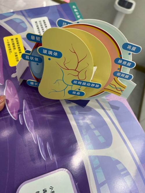 泰拉瑞亚咧嘴笑的可疑眼球有什么用图标
