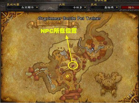 魔兽世界战斗宠物训练师在哪图标