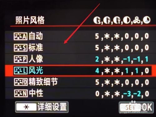 佳能相机人像风格设置参数截图