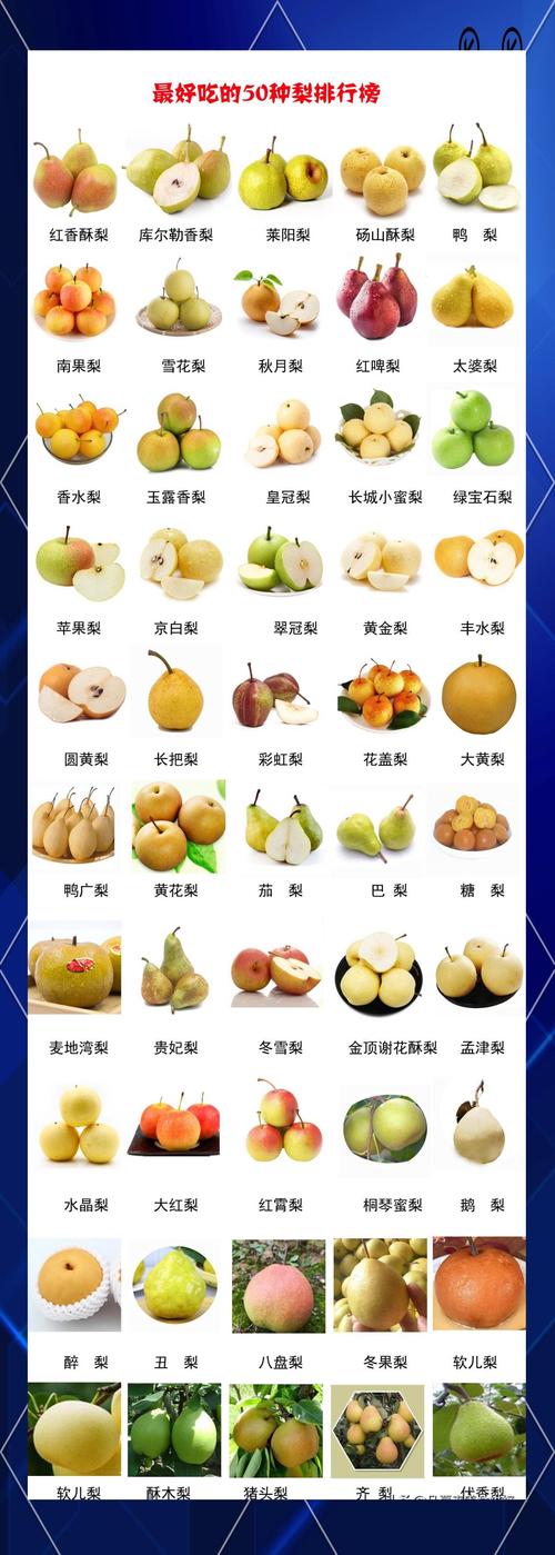 梨有几种品种图标