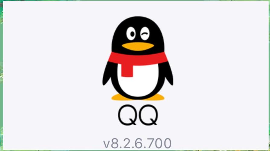 手机qq8.2.6版本下载截图