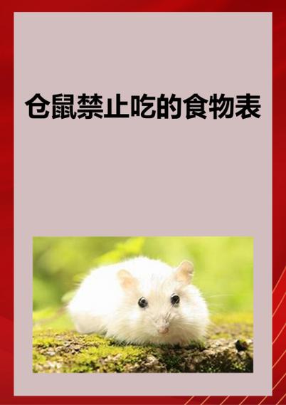 仓鼠禁止吃的水果图标