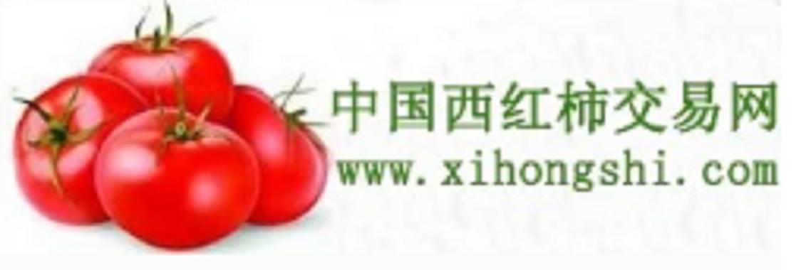 中国西红柿网截图
