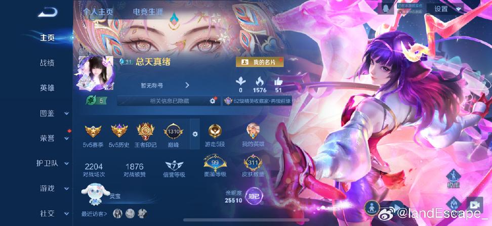 王者荣耀隐藏英雄场次图标