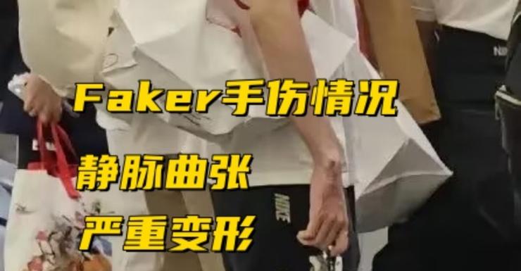 faker手图标