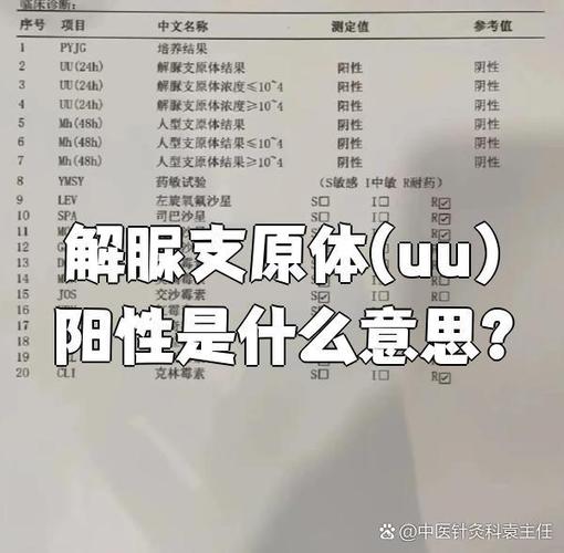 uu感染是什么意思截图