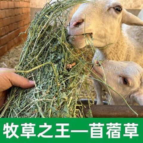 苜蓿干草营养成分表截图