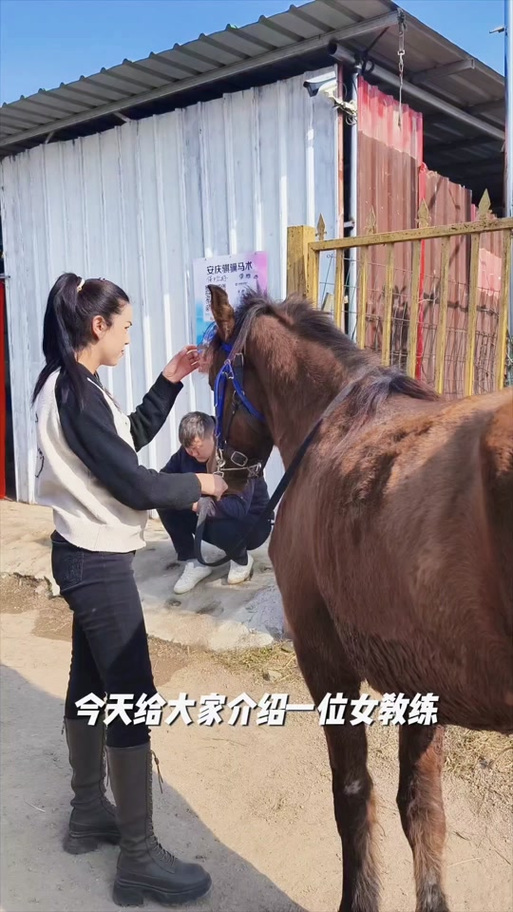 如何驯服野马截图