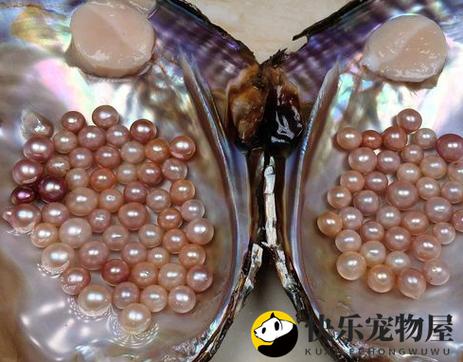 为什么蚌能产珍珠图标