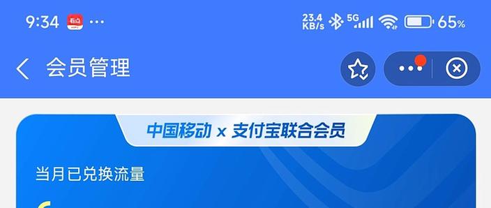 支付宝双v会员图标