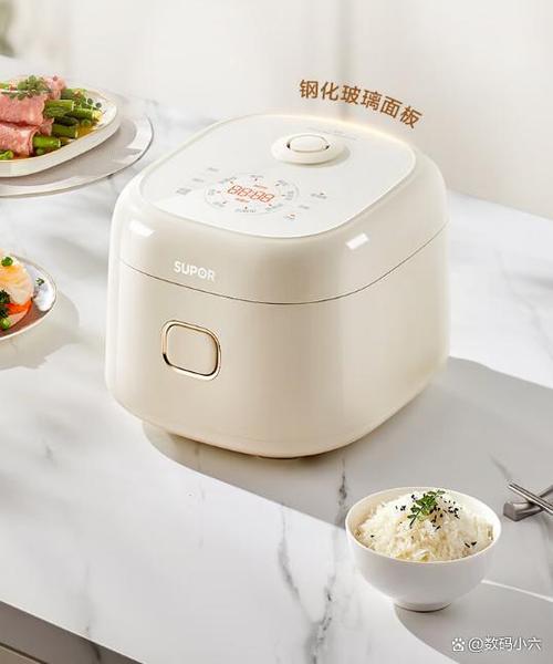 口碑最好的小型电饭煲截图
