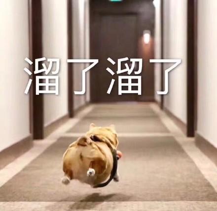 溜了溜了原版语音