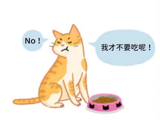 猫饿了三天还不吃猫粮怎么办