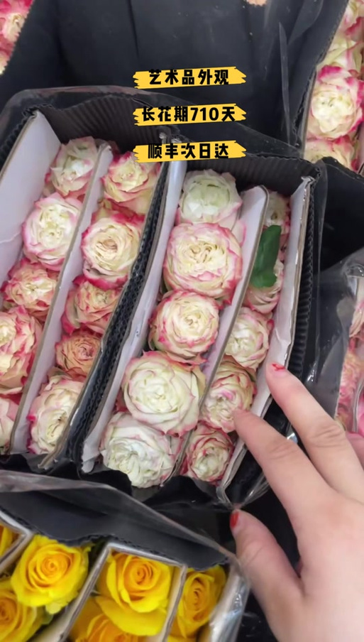顺丰快递可以寄鲜花吗游戏截图