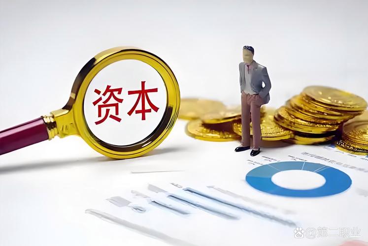 高什么资本截图