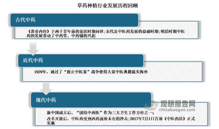 中国中药网(官方网站)图标