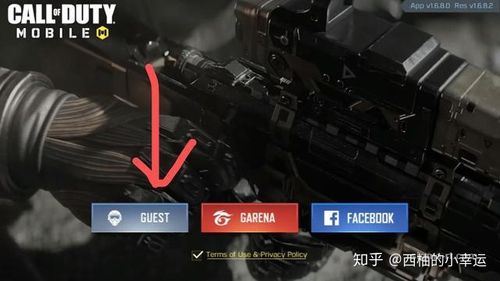 garena使命召唤台服图标